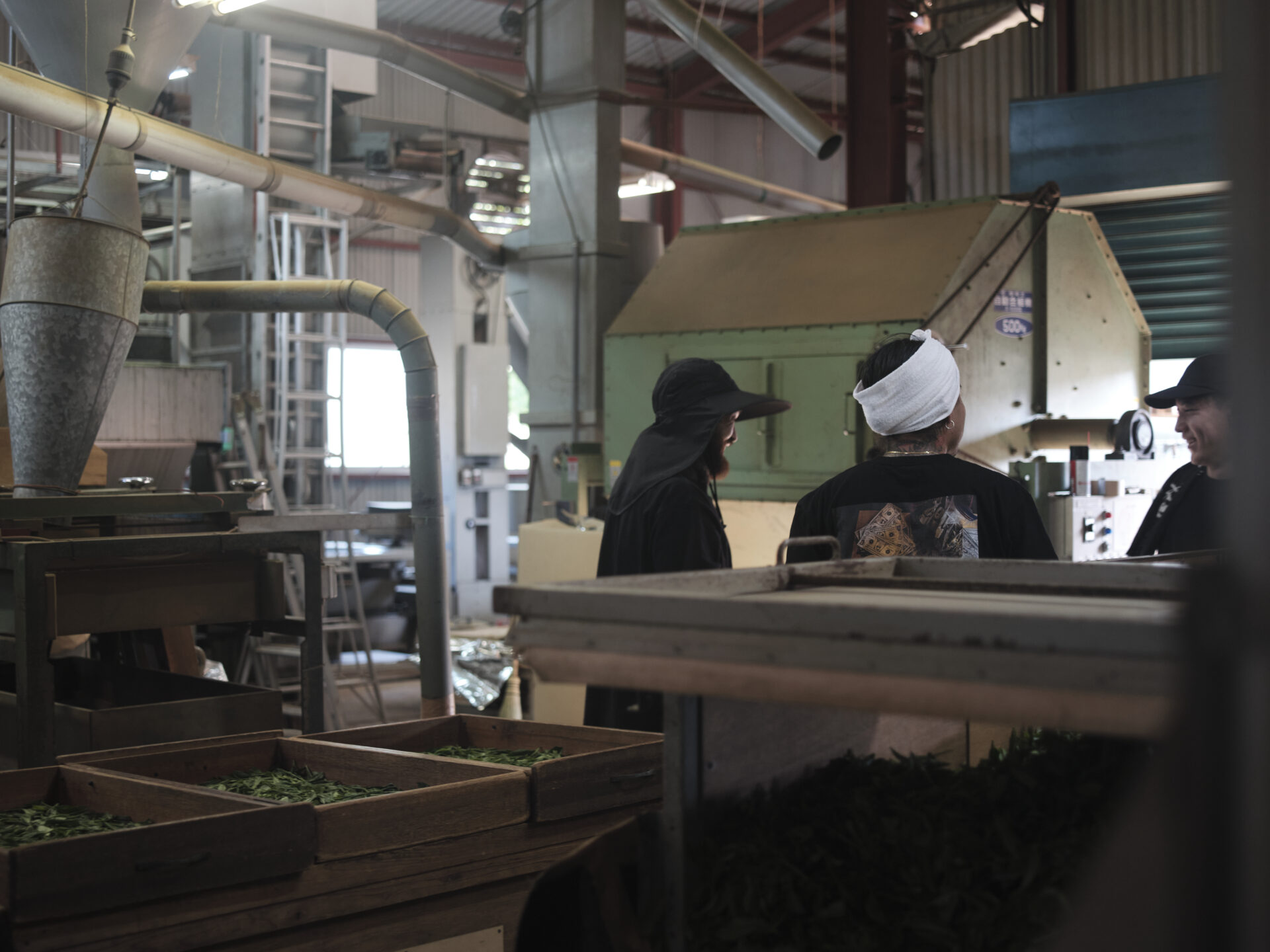 代官山[TEA BUCKS] in “新しい”茶畑 熊本[お茶の富澤。]を訪れて＜後編＞ | Article | CHAGOCORO | 文化をインスパイアするお茶メディア