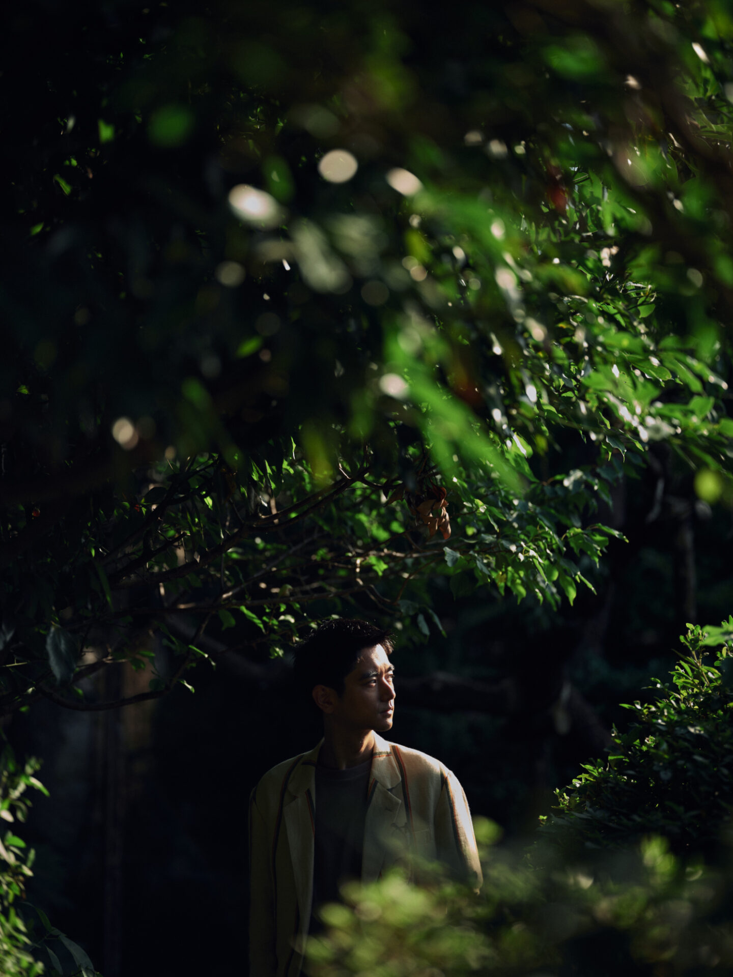 PAUSE & INSPIRE #16 Sunny Day, Summer Holiday | Article | CHAGOCORO | 文化をインスパイアするお茶メディア