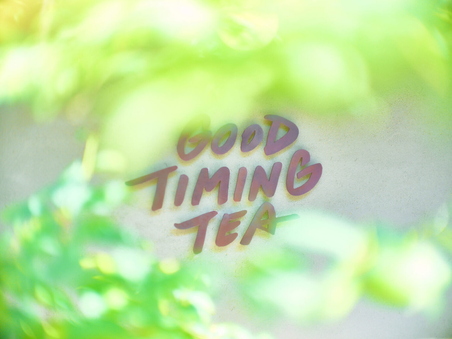 すべてはグッドタイミング。お茶の未来を前向きに見つめる 静岡[GOOD TIMING TEA]和田健さん＜後編＞ | Article ...